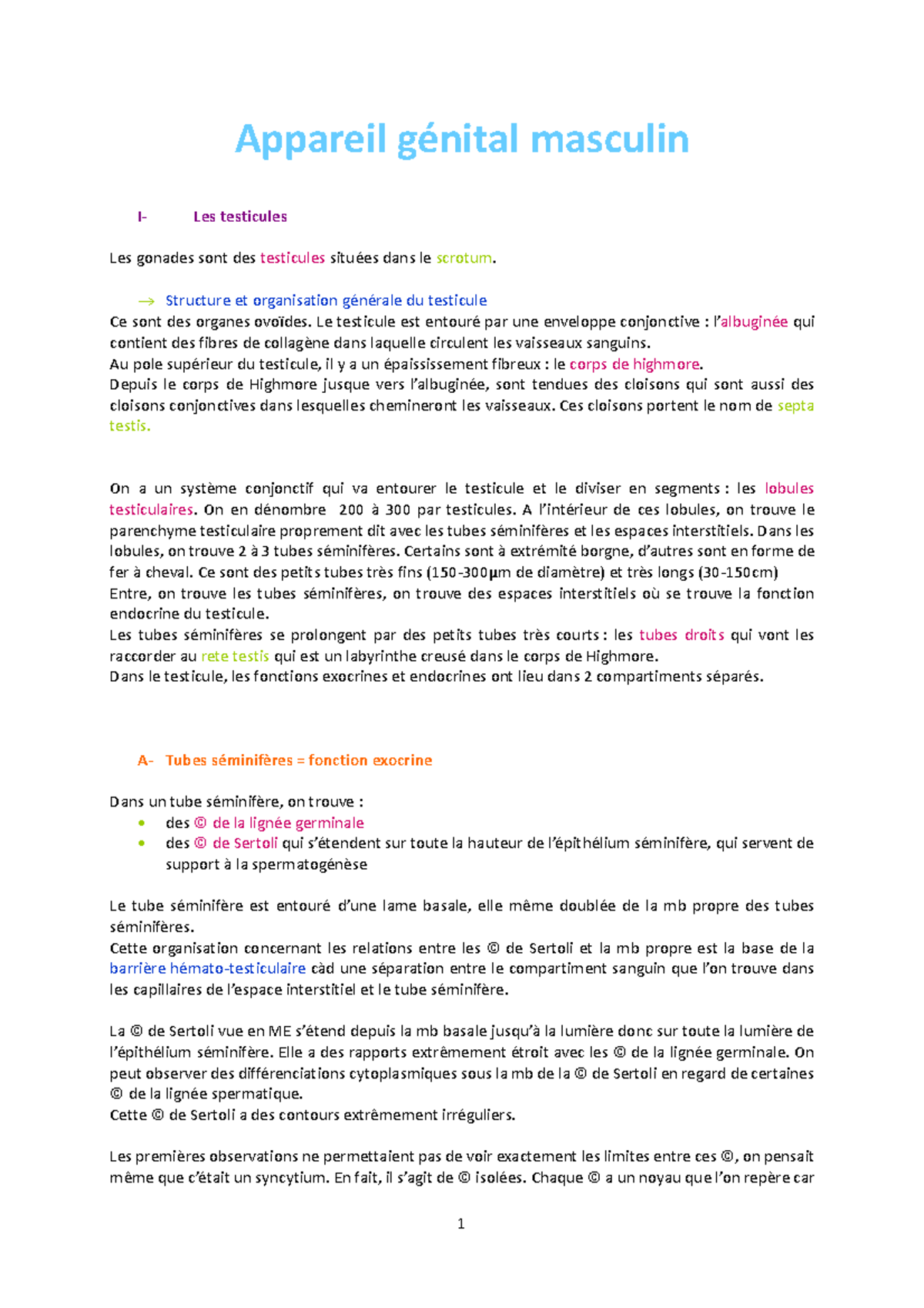 Appareil génital masculin - Warning: TT: undefined function: 32 Appareil génital masculin I- Les ...