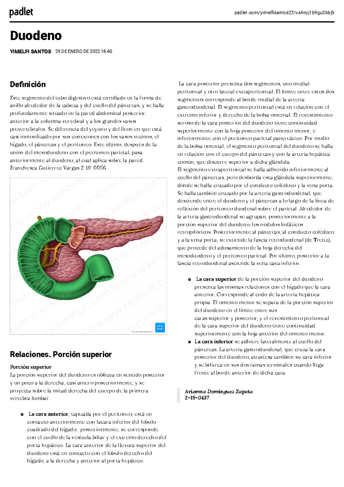 Padlet #2 - Tareas - padlet/yimelfisantos27/vz4nyj1b9gu3bbj Duodeno ...