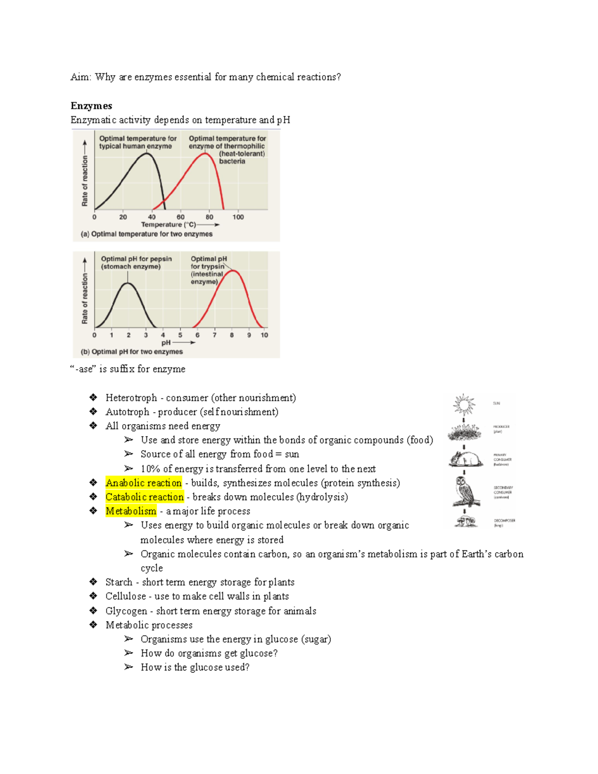 Ap Bio Notes (Unit 4 Autotrophy and Photosynthesis) - Aim: Why are ...