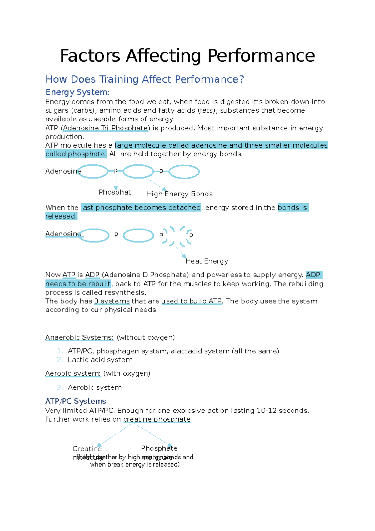 Study Notes - Factors Affecting Performance How Does Training Affect ...