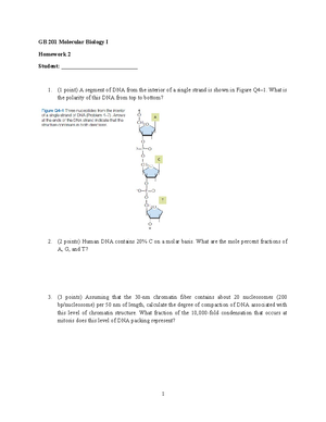 LAB 4 Isolation OF Total DNA FROM Chicken Liver - ISOLATION OF TOTAL ...