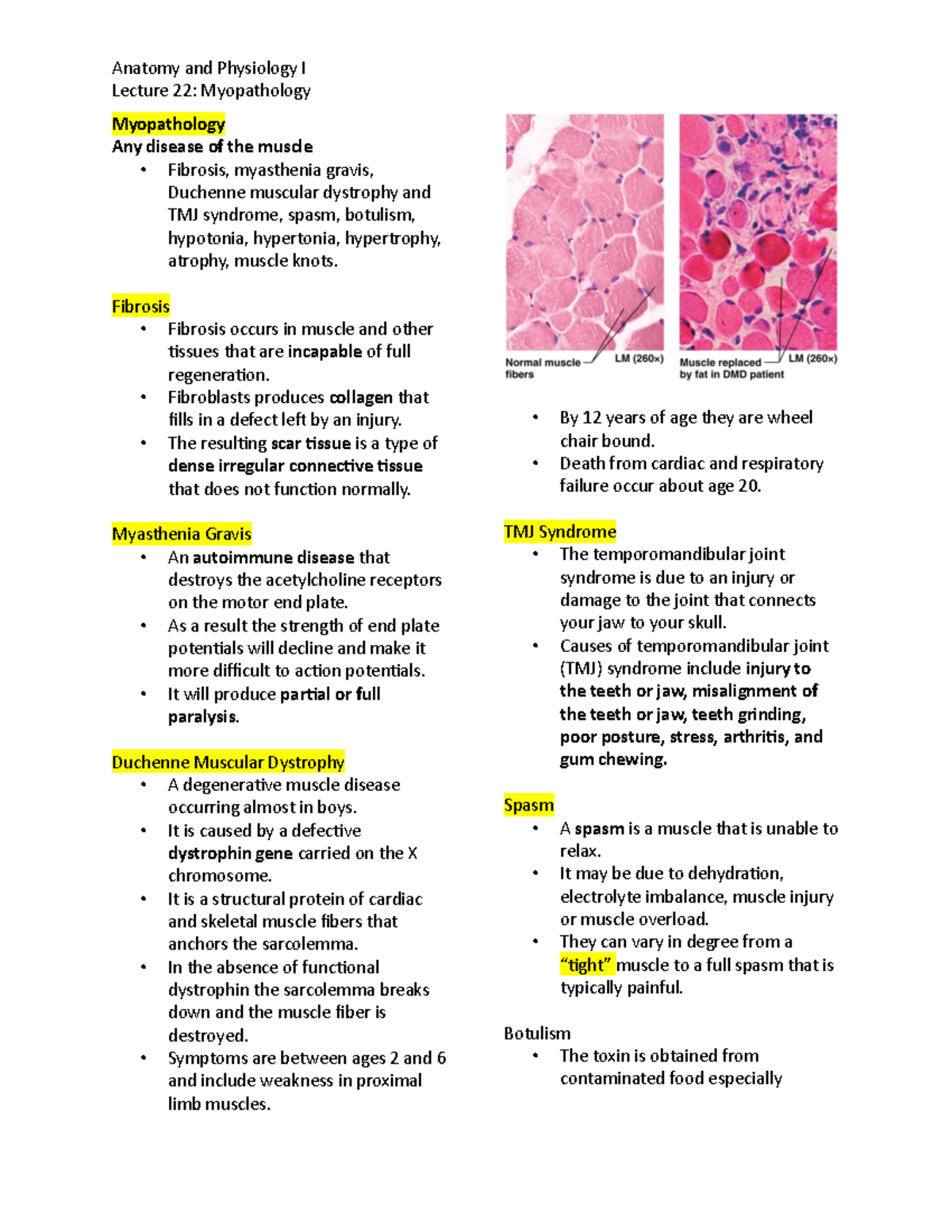 Lecture 22- Myopathology - Anatomy and Physiology I Lecture 22 ...
