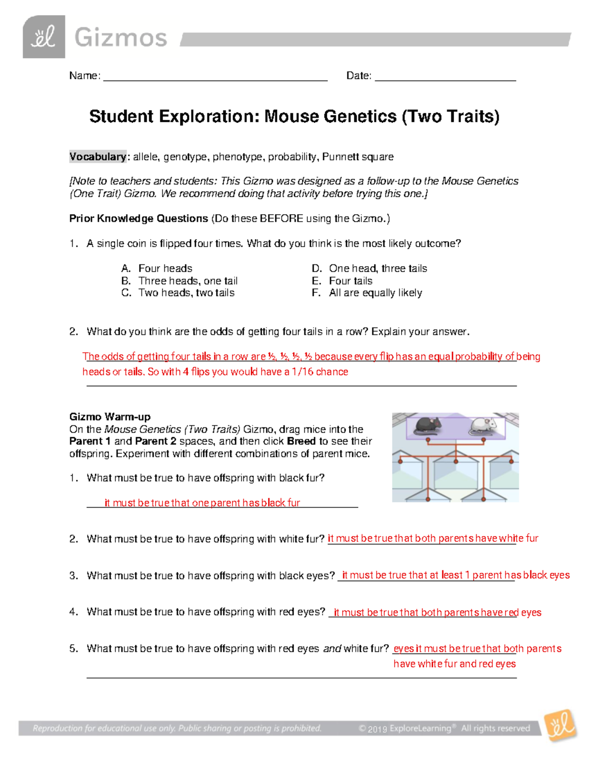 Kami Export - Gizmo's Mouse Genetics with 2 Traits Virtual Lab - Name: - Studocu