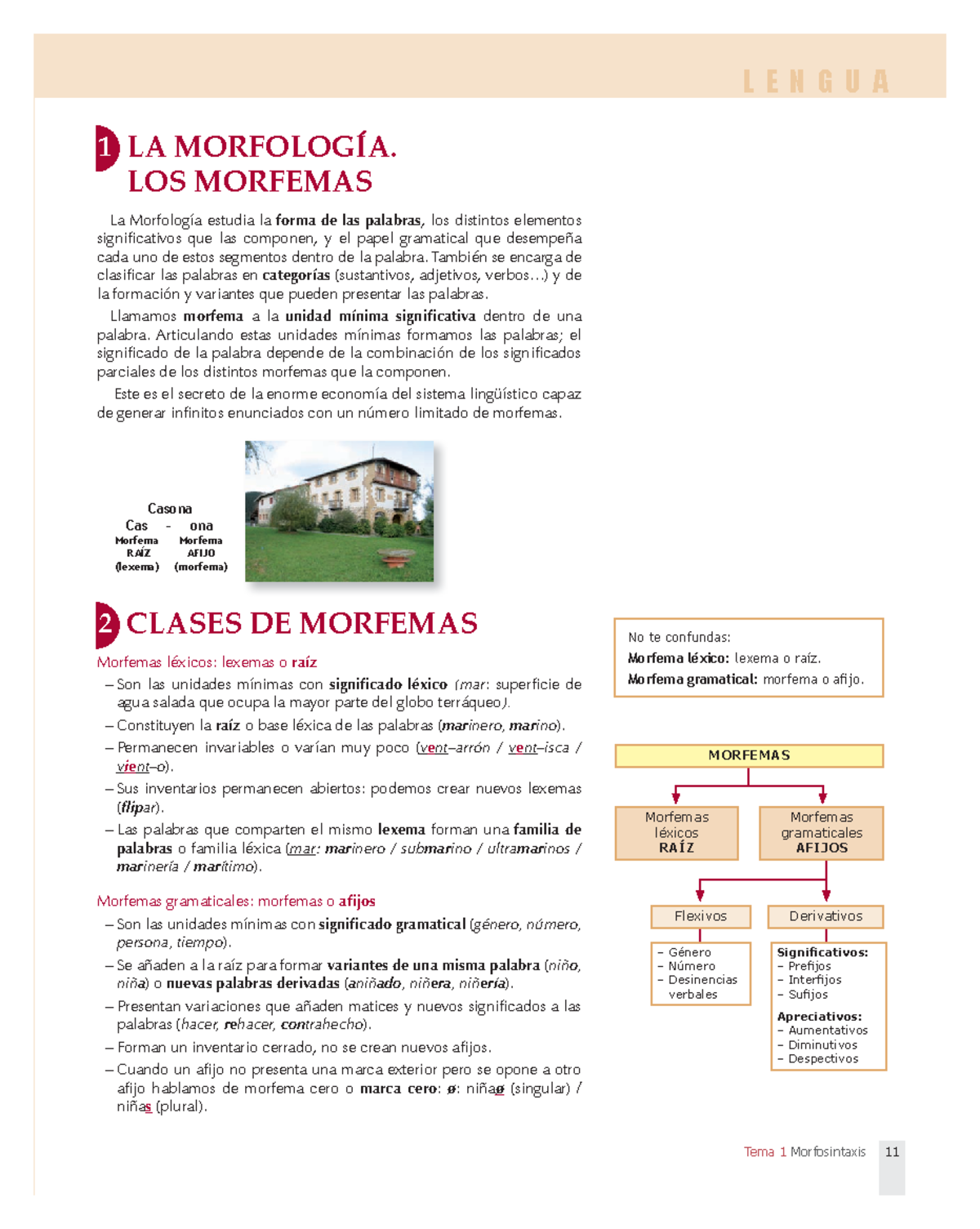 Morfología 2 15 1 5 - literatura - Tema 1 Morfosintaxis 11 1 LA ...