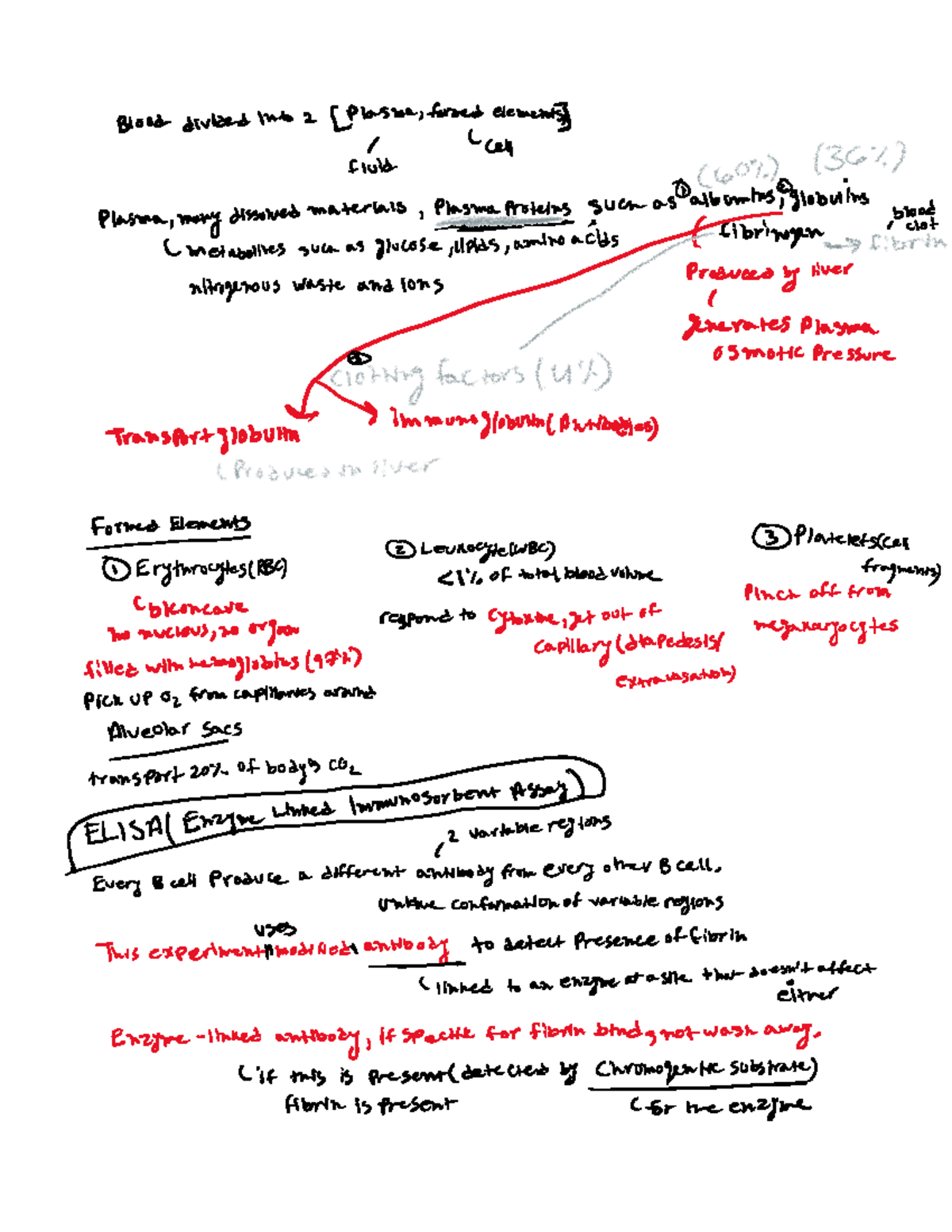 Blood bio - BIOL 1002 - Studocu