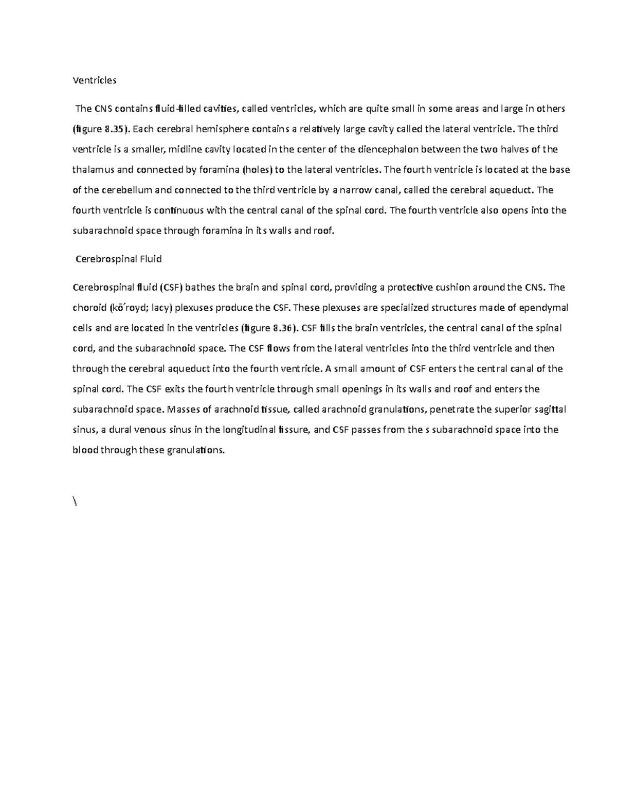 Seeley's Anatomy and Physiology Chapter 8.21 - Ventricles The CNS ...