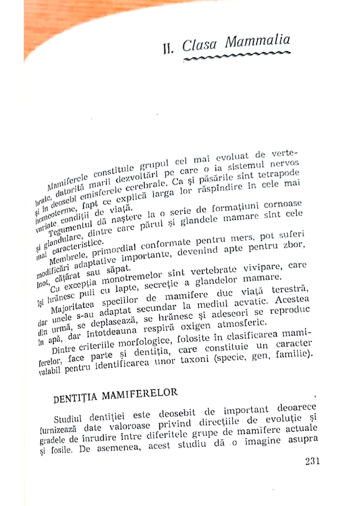 Clasa Mammalia - Sjjsns - Contabilitate - Studocu