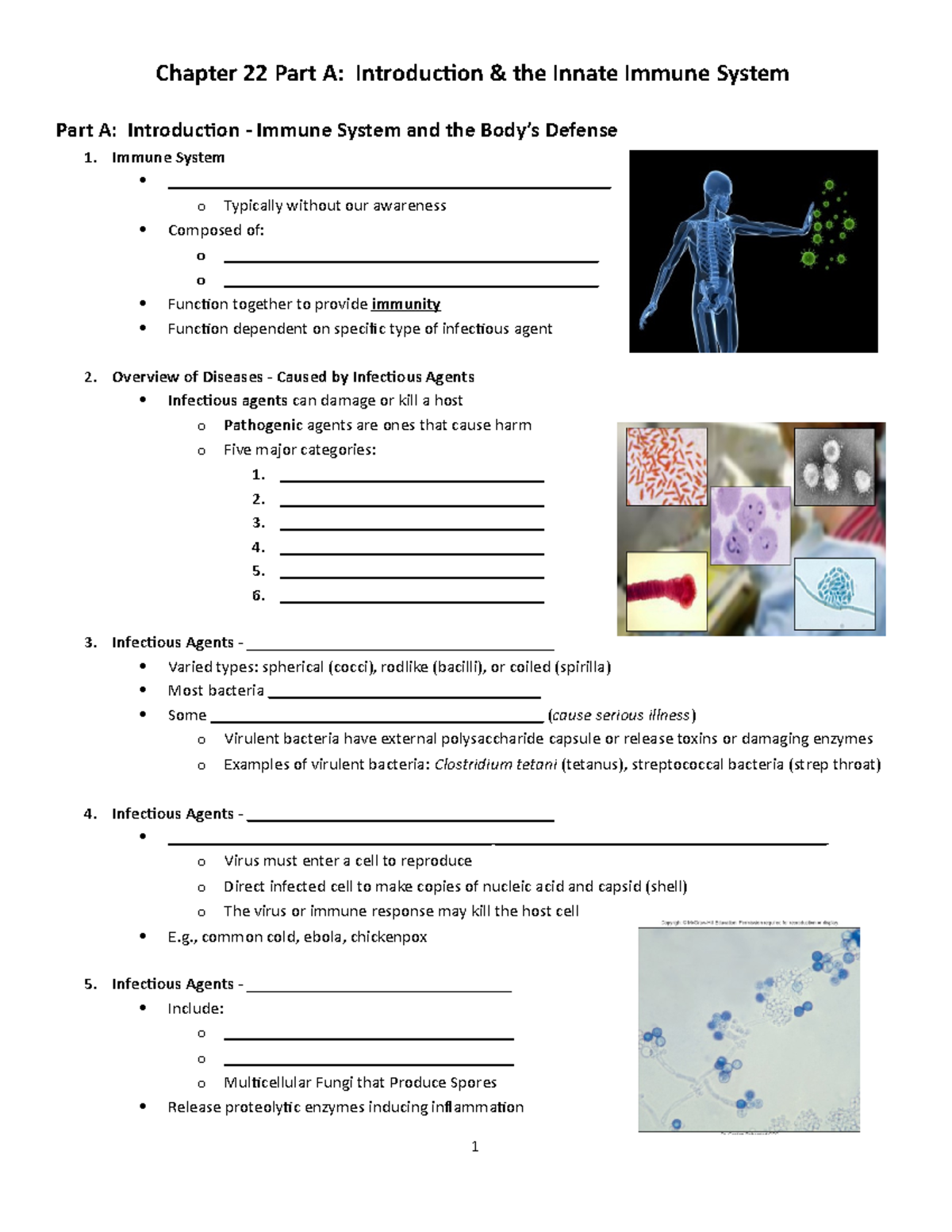 Lecture Notes CH 22 PART A Innate Non-Specific Immune System - Chapter ...