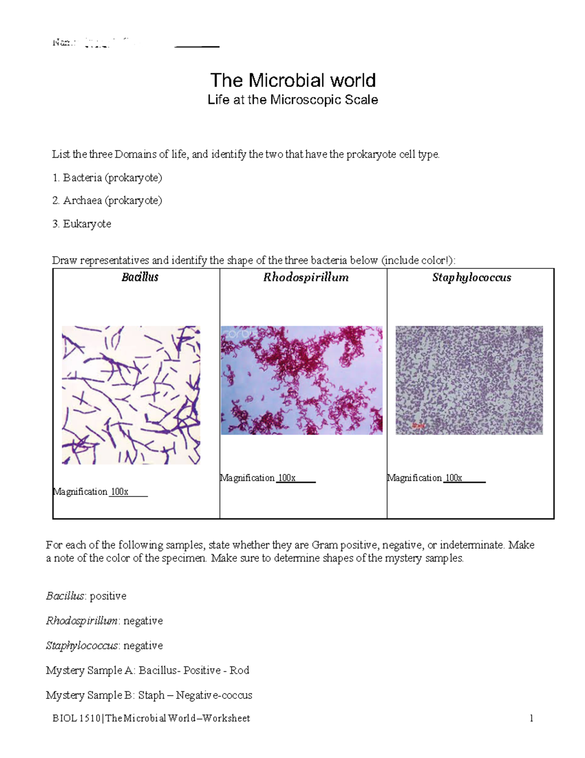 Microbial World Worksheet turn in Biology II - BIOL 1510 | The ...