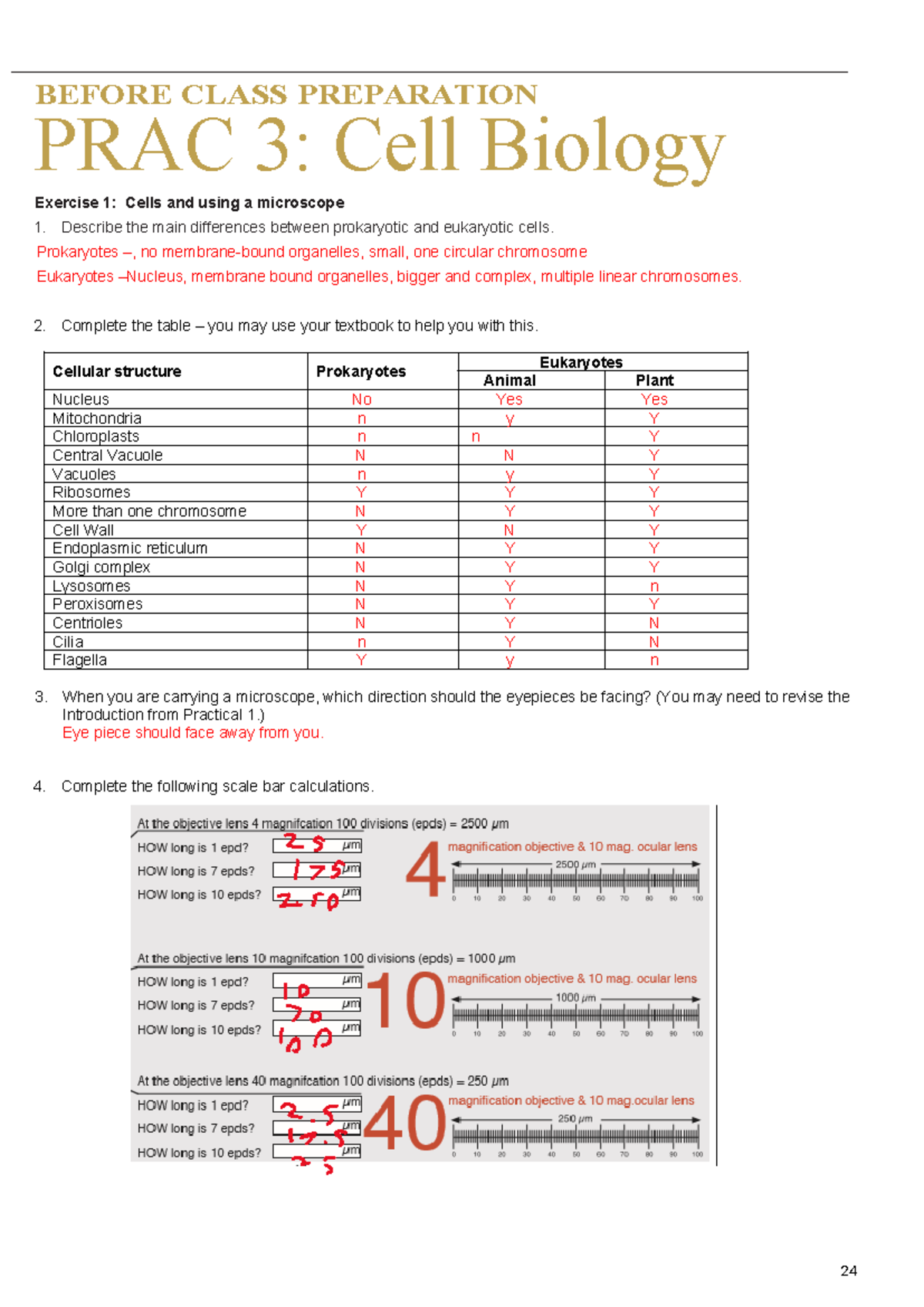 BIOL1020 Prac 3 - Microscopy & Mitosis - BEFORE CLASS PREPARATION PRAC ...