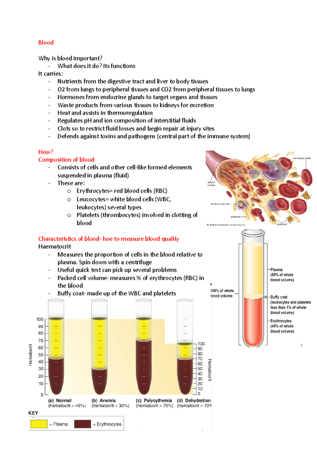 Blood - Notes - Blood Why is blood important? - What does it do? Its ...