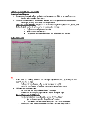 Exam 3 Study Guide with Cases (BEST) - G202 - Topic 6: NGOs as Social ...