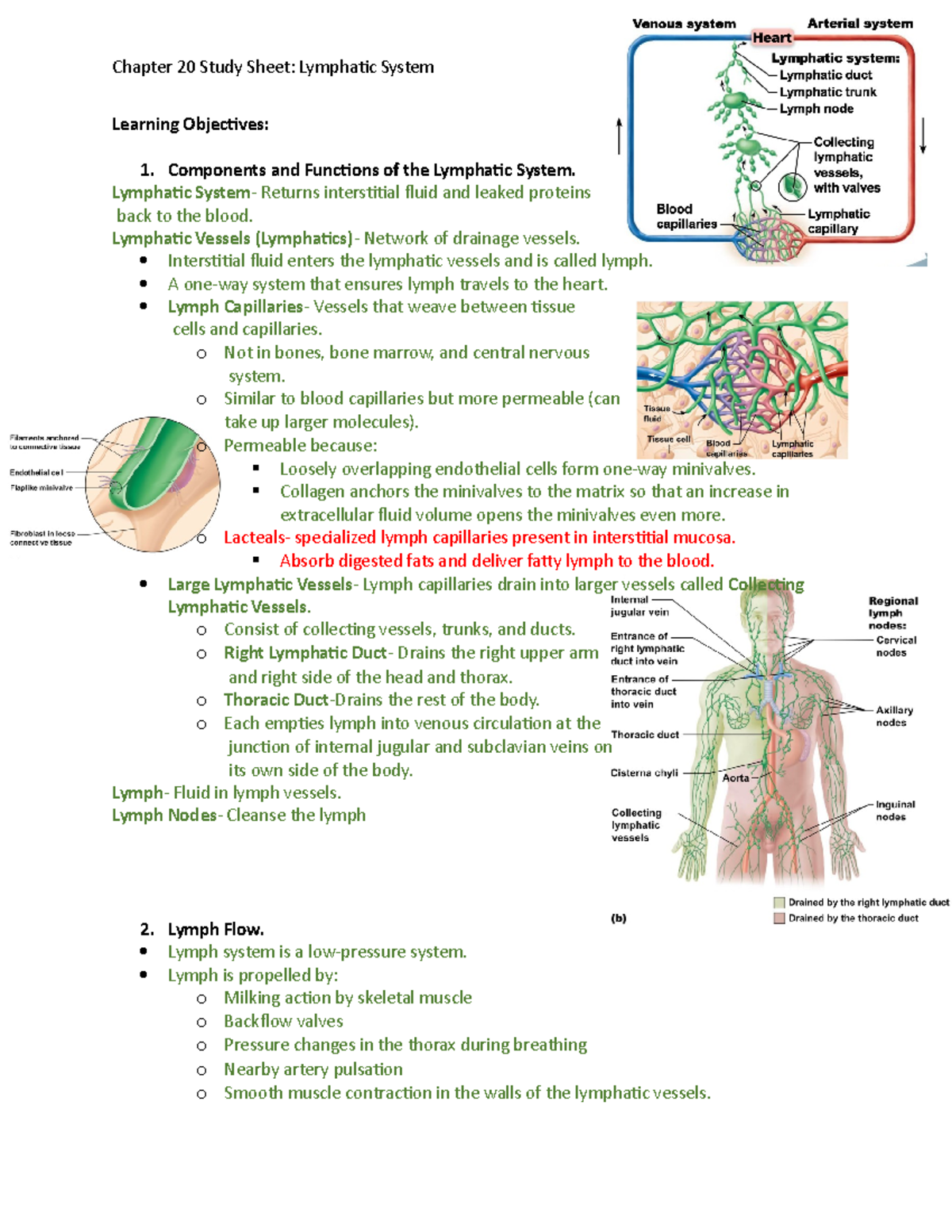 Ch 20 Study Sheet - objectives and summary of chapters - Chapter 20 ...