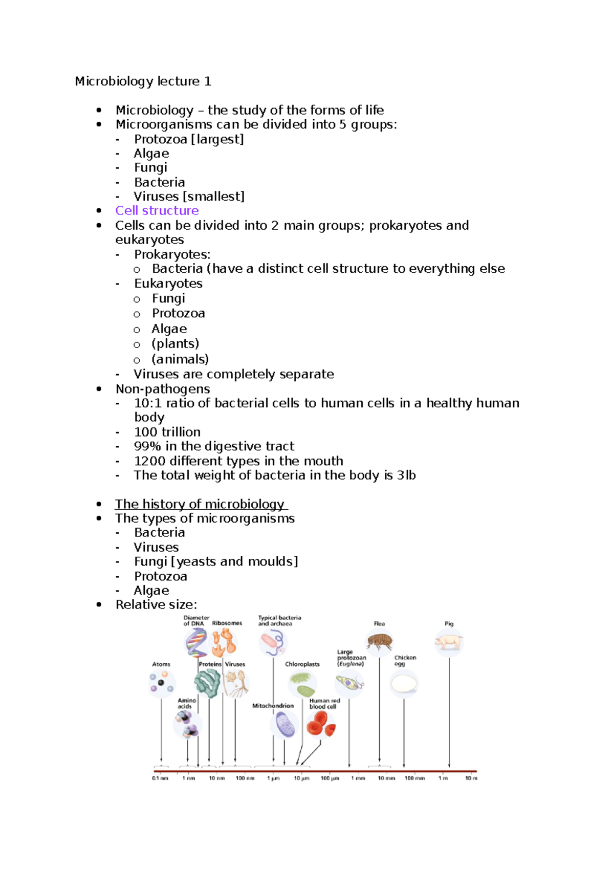 Microbiology lecture 1 - antibiotics Harmful - Biodegradation – e. food ...