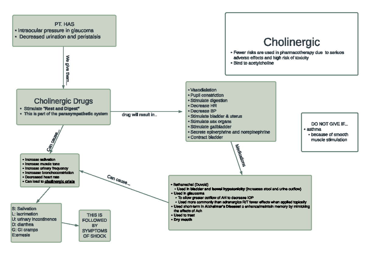 Cholinergics medication notes - NURS 1310 - St. Clair College - Studocu