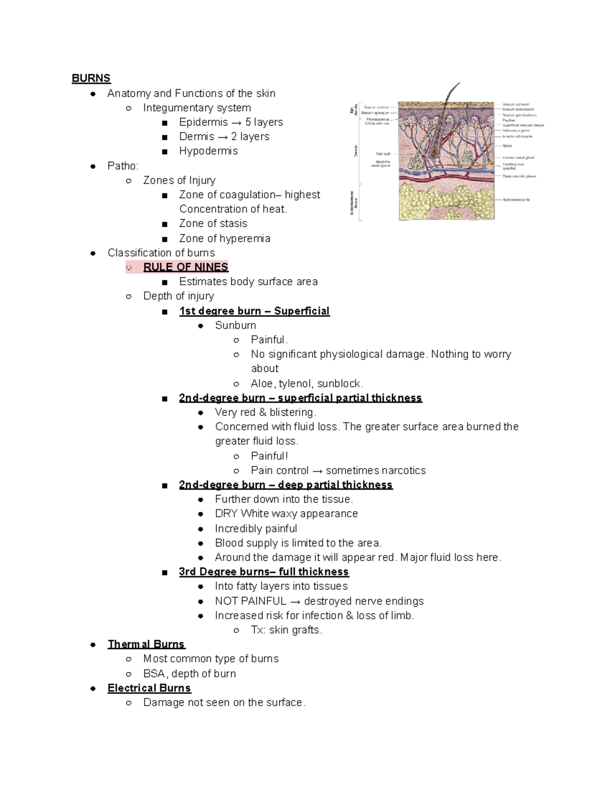 Critical Care Exam 4 - exam 4 notes - BURNS Anatomy and Functions of ...