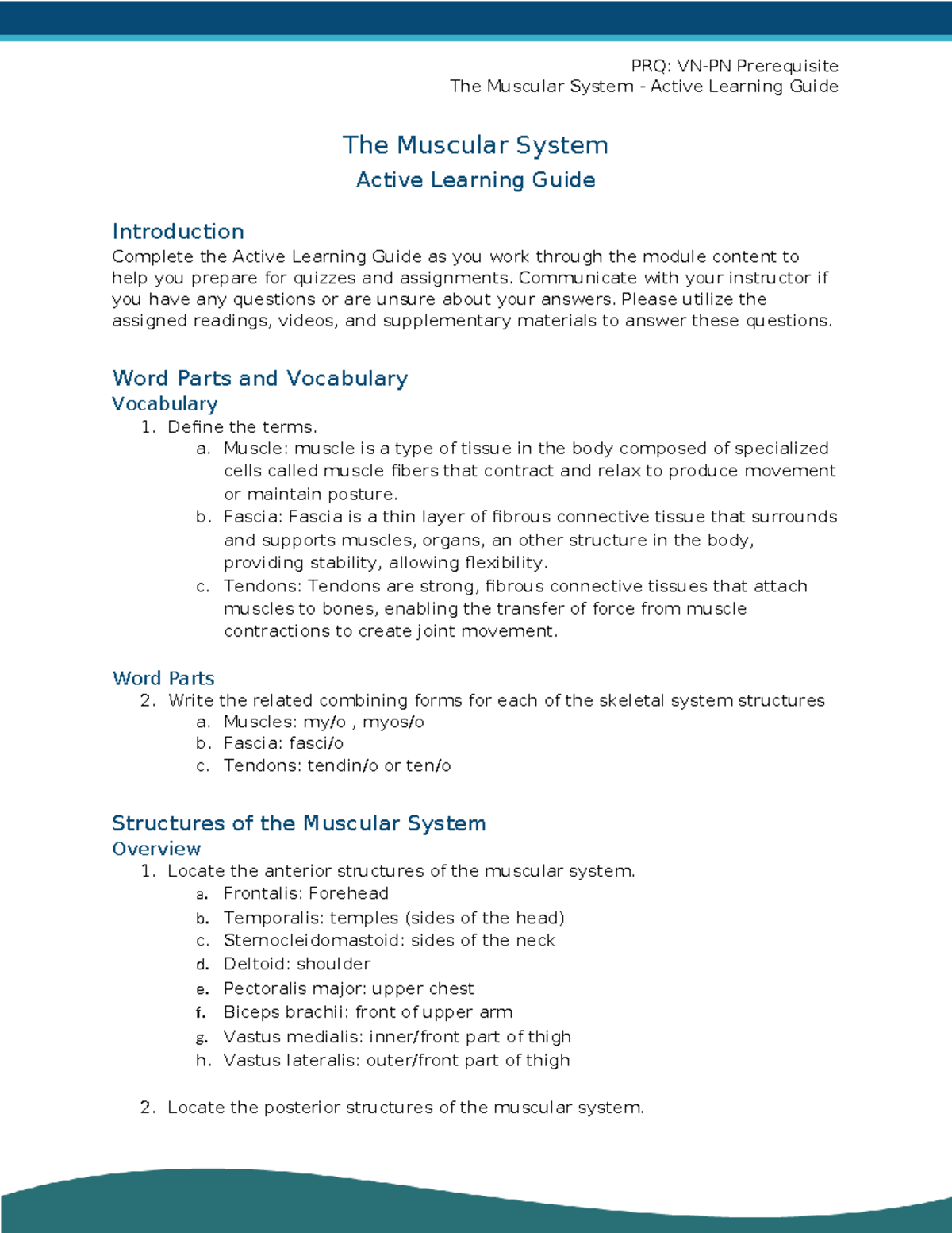 Chapter 4 Assignment - Active Learning Guide (Ch. 4 - Muscular System ...
