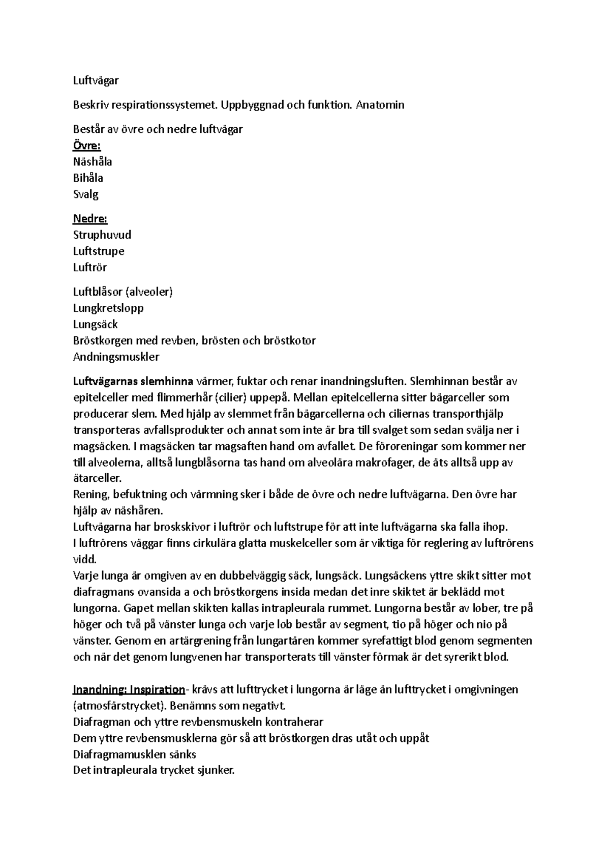 Luftvägar - Luftvägar Beskriv respirationssystemet. Uppbyggnad och ...