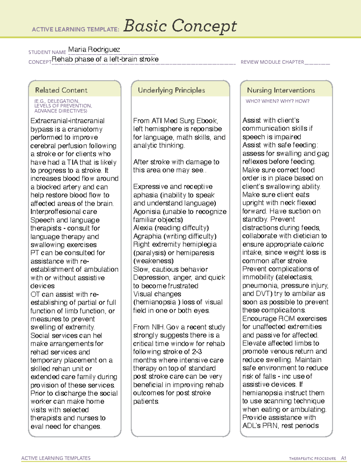 L side stroke rehab care map - N12 - ACTIVE LEARNING TEMPLATES ...