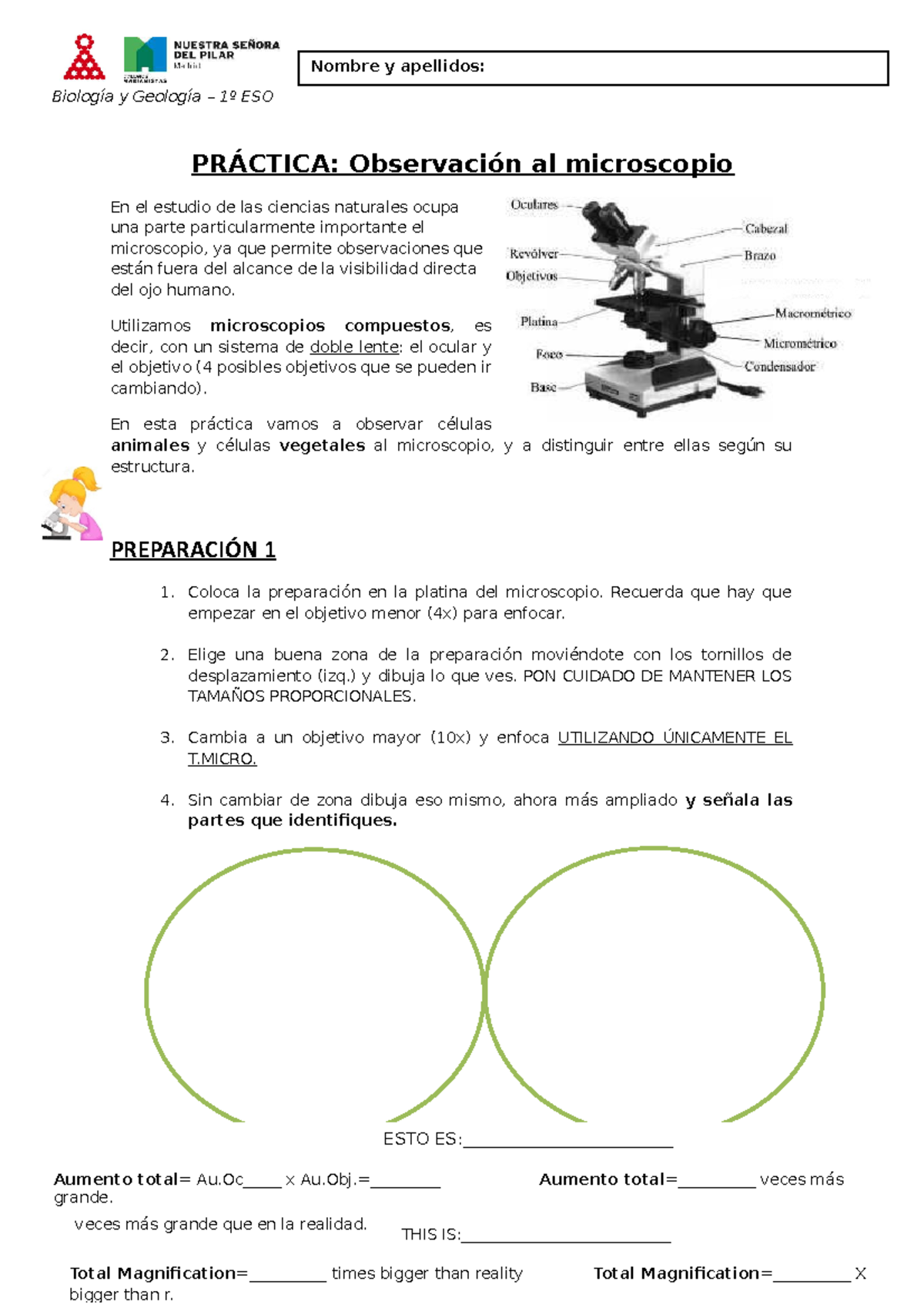 1ESO - practica laboratorio - PRÁCTICA: Observación al microscopio En ...