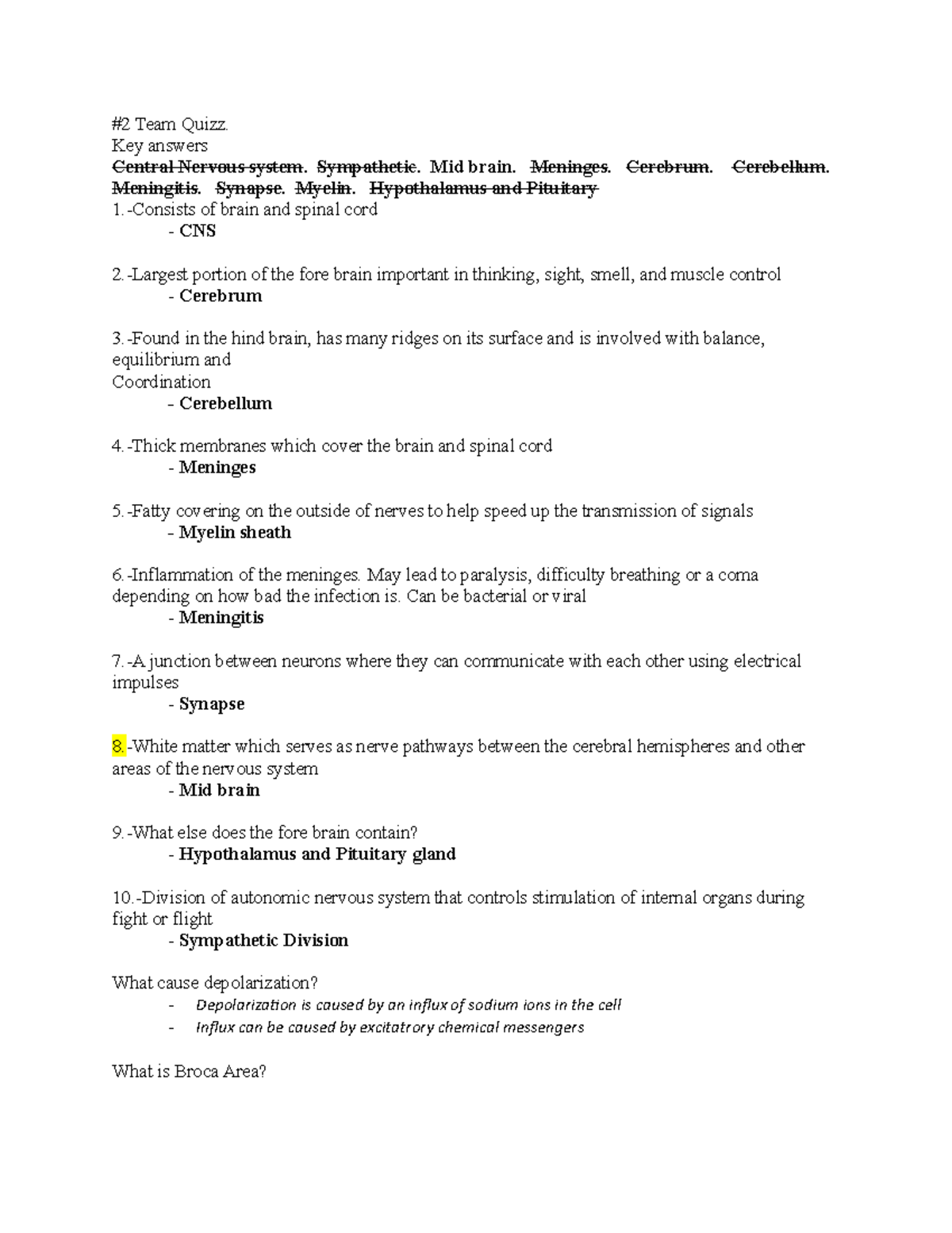 Nervous System Anatomy Quiz - #2 Team Quizz. Key answers Central ...