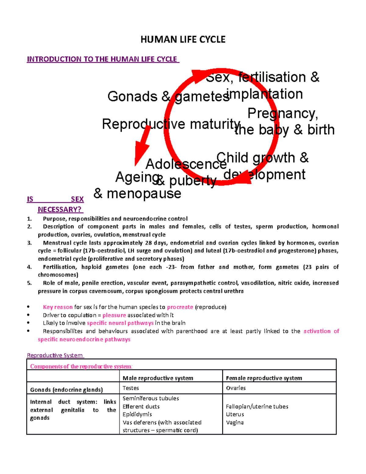 Human Life Cycle - Notes from Year 1 - HUMAN LIFE CYCLE INTRODUCTION TO ...