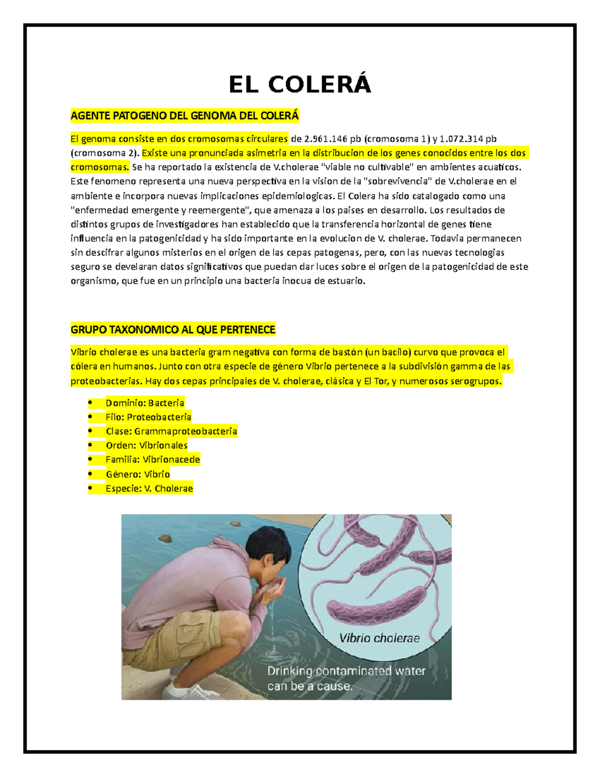 EL Colerá - Genetica - EL COLERÁ AGENTE PATOGENO DEL GENOMA DEL COLERÁ ...