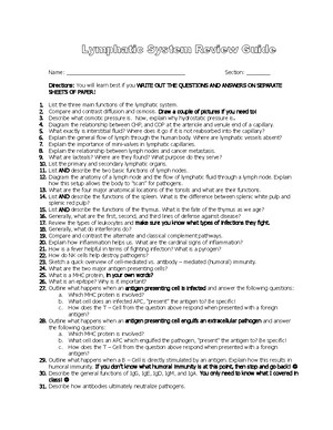 Respiratory System Review Guide - Name ...