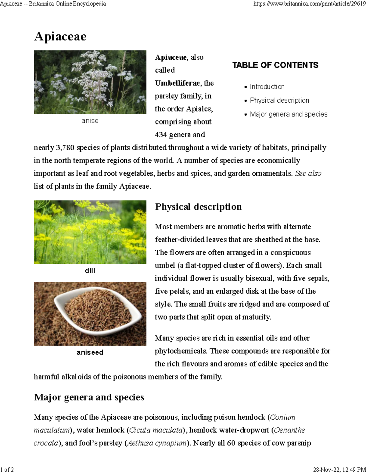 Apiaceae - Britannica Online Encyclopedia - TABLE OF CONTENTS Introduction Physical description ...