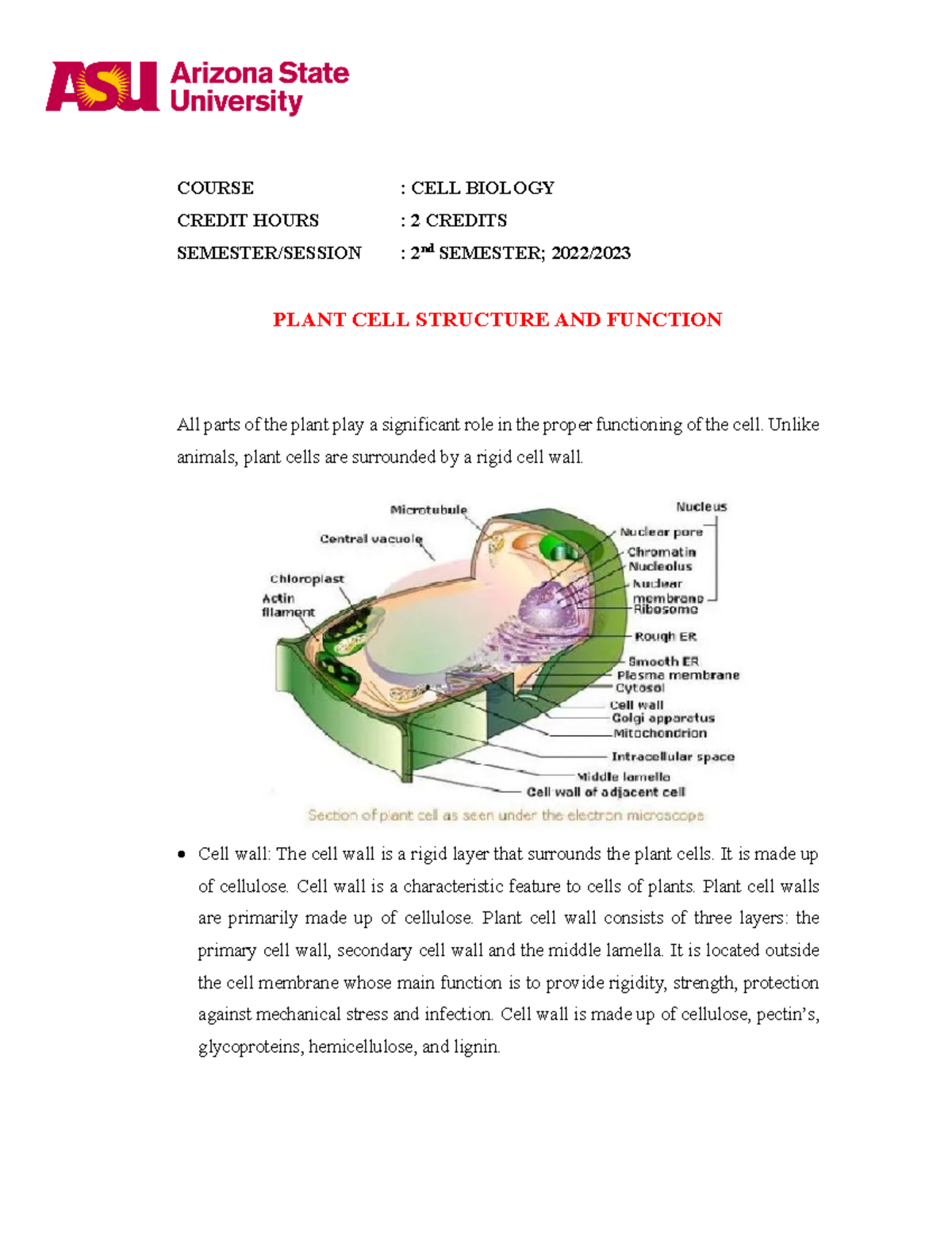 Lecturer Notes Plant CELL Structure AND Function - COURSE : CELL ...