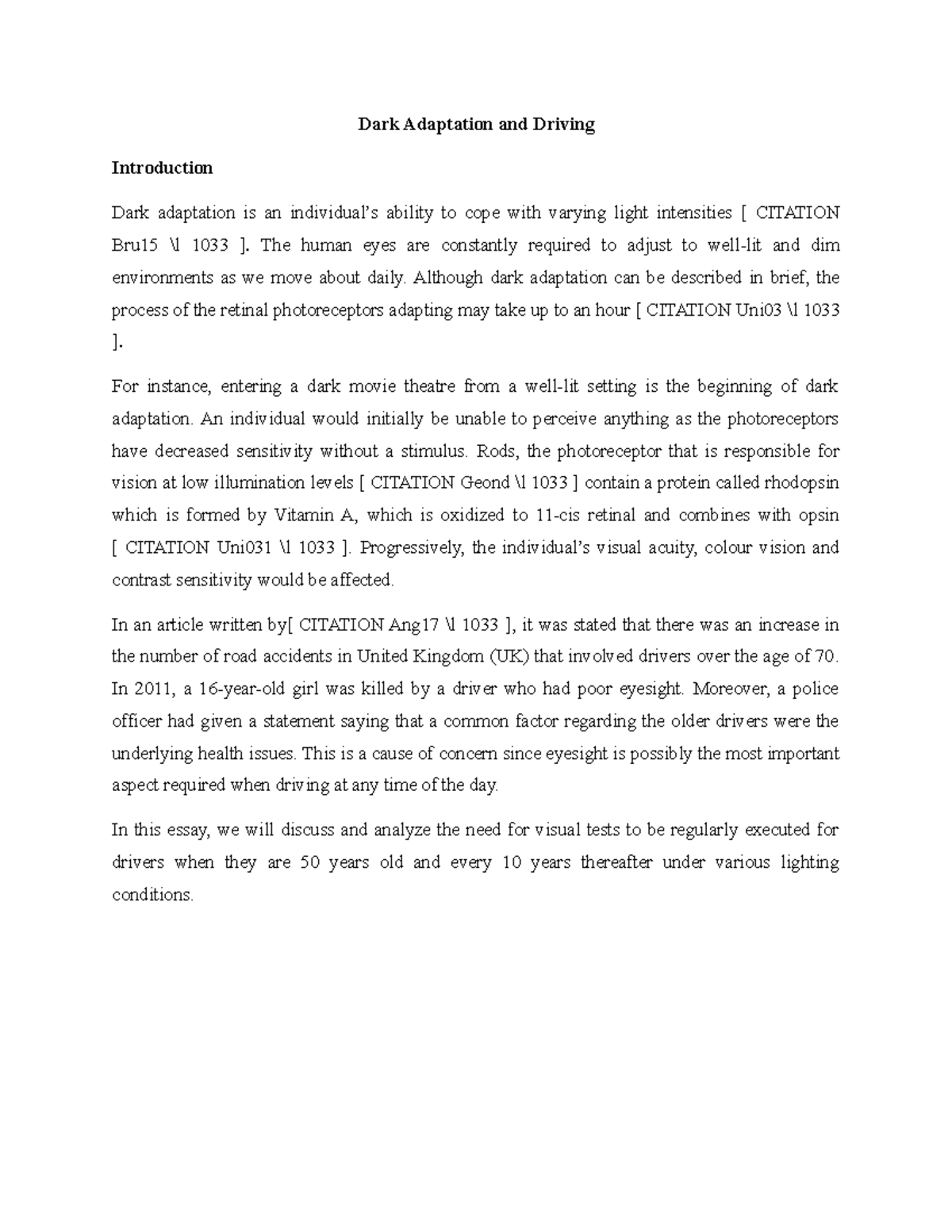 Dark Adaptation Essay - Grade: A - Dark Adaptation and Driving ...