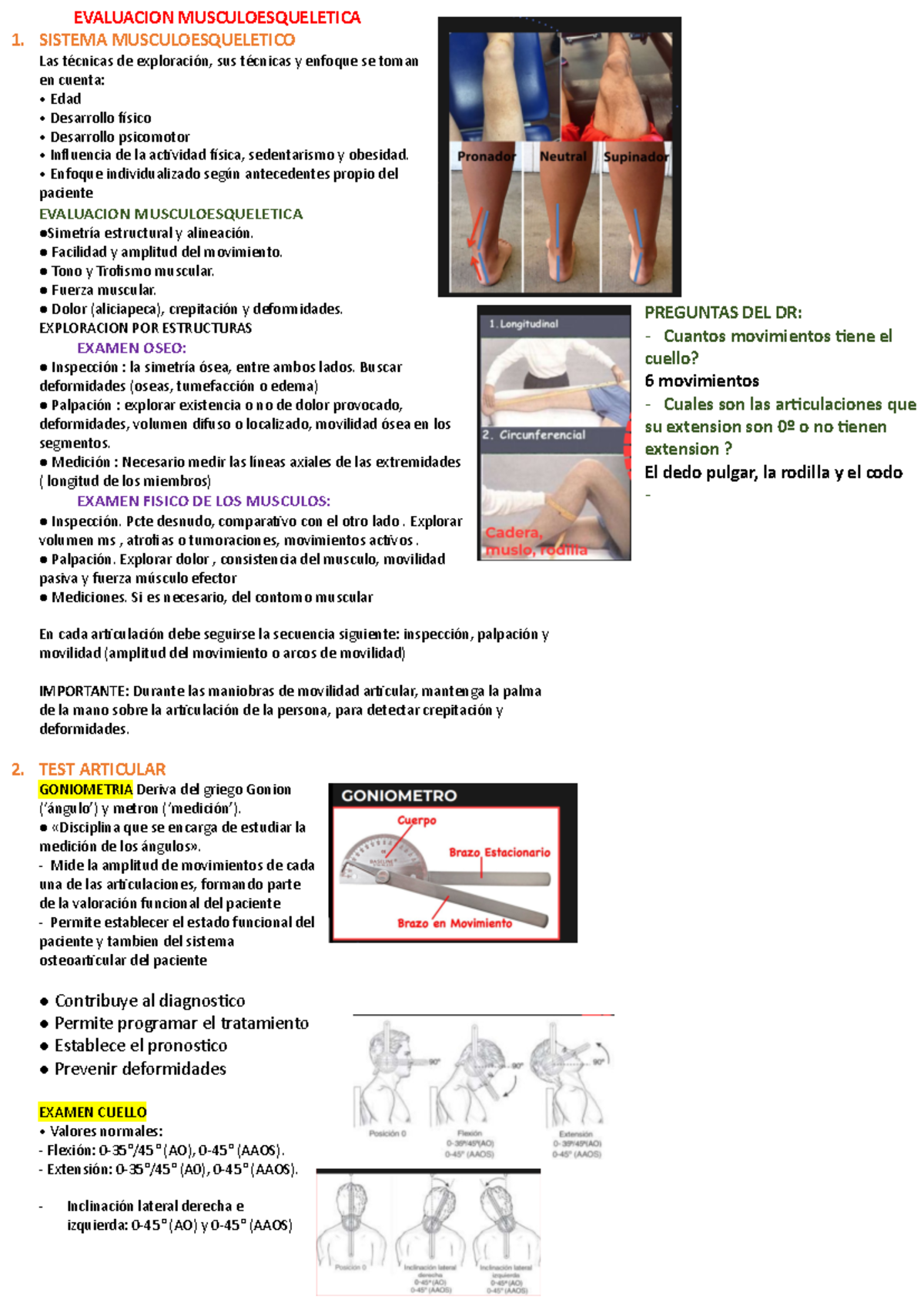 3. Evaluacion Musculoesqueletica - EVALUACION MUSCULOESQUELETICA 1 ...