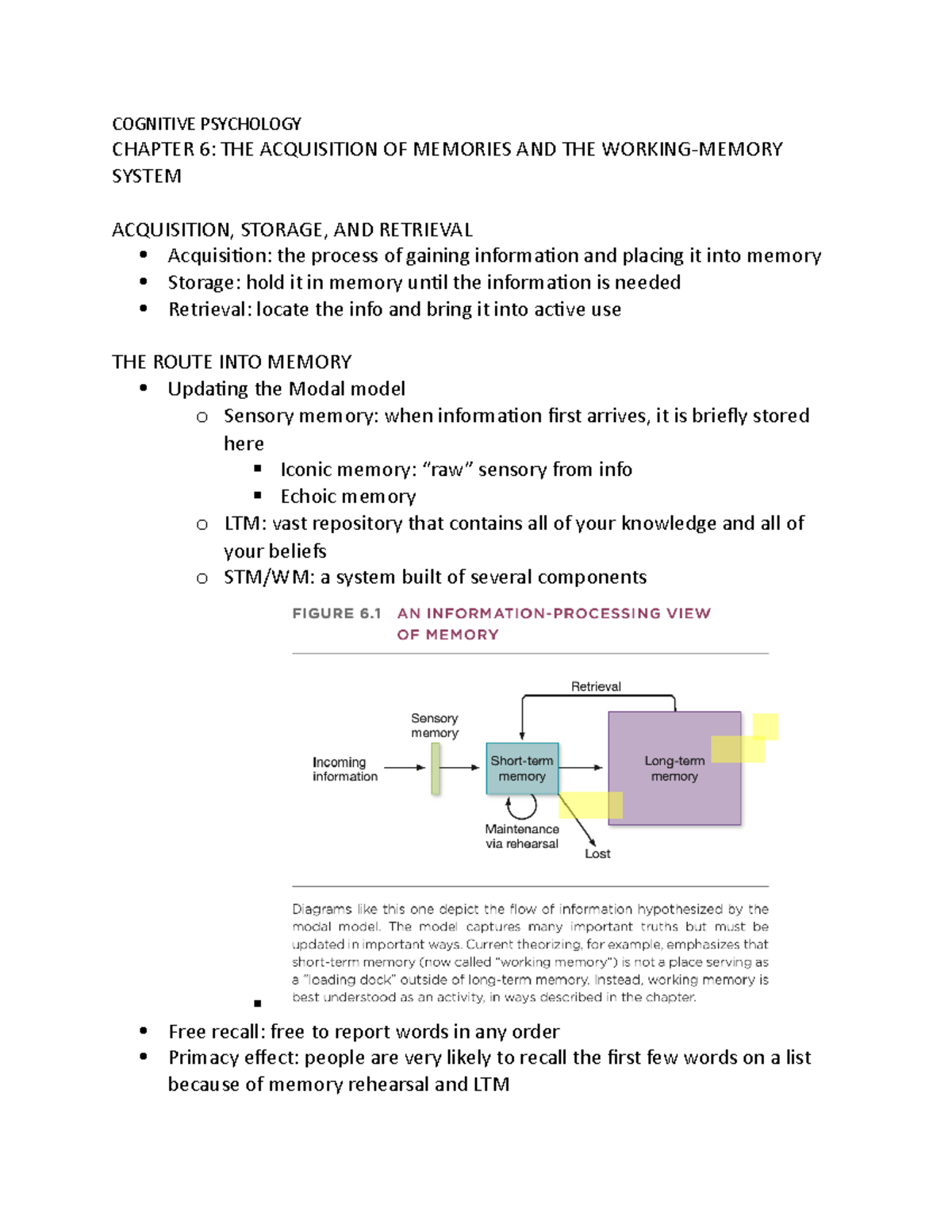 CH 6 - Chapter 6: The Acquisition and Working Memory System Outline - Cognition - COGNITIVE ...