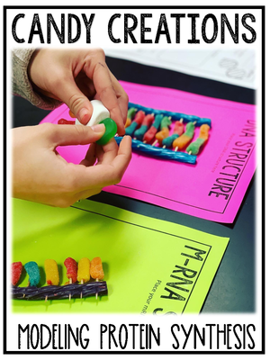 Kami Export - Brooklynn Student - Copy of Photosynthesis Worksheet ...