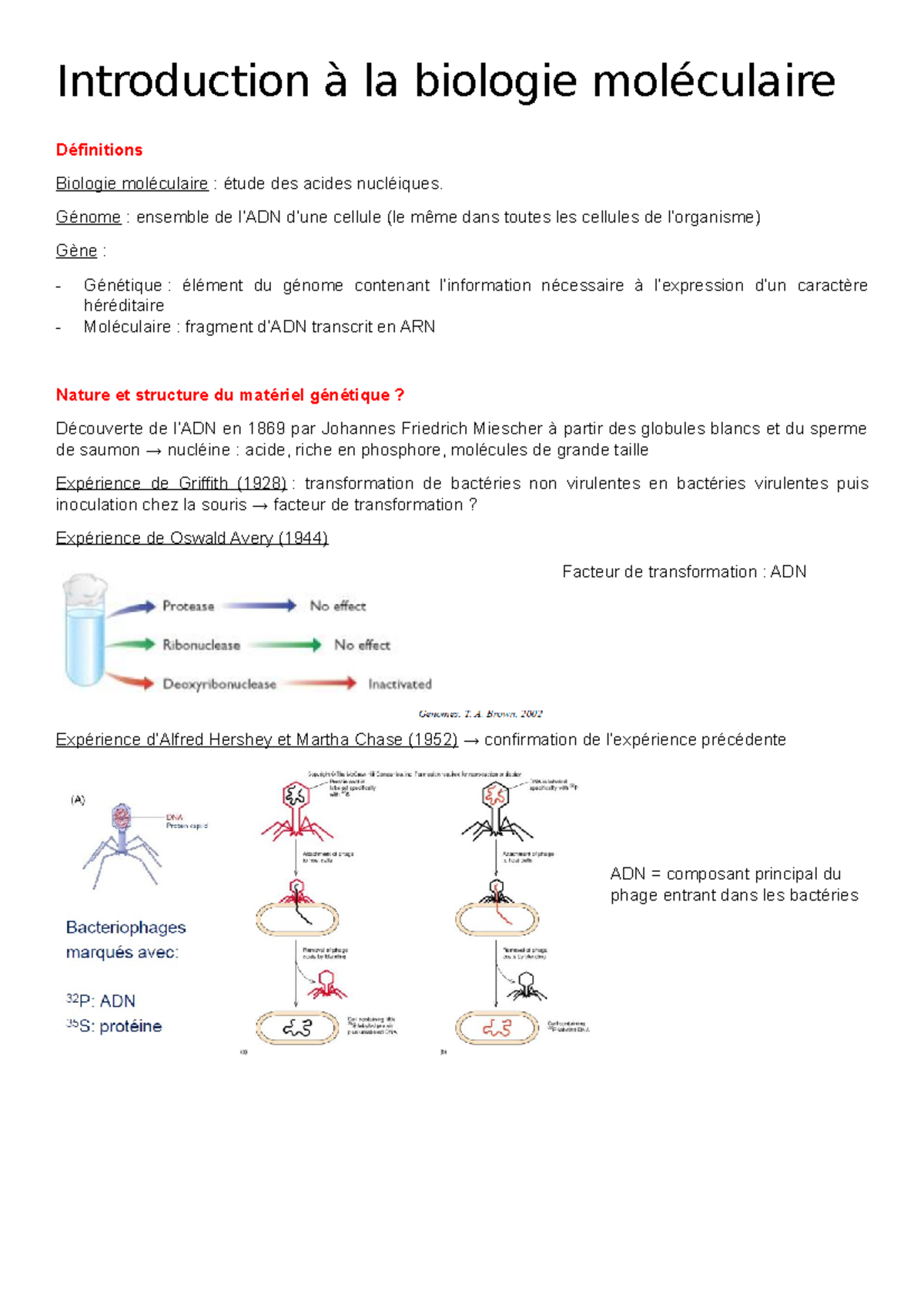 1 - Introduction à la biologie moléculaire - Introduction à la biologie ...