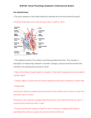 Guidepost to Respiratory Physiology-1 - GUIDEPOSTS: Week 3: Respiratory ...