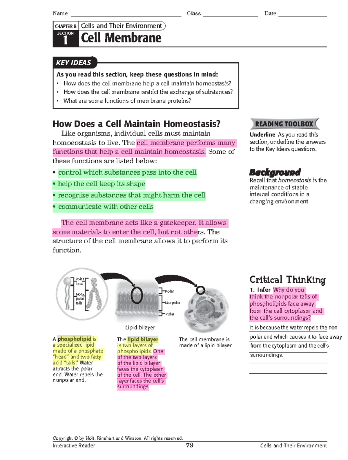 Kami Export - Jacob Tagud - Cell Packet #4-Cell Membrane - Copyright ...