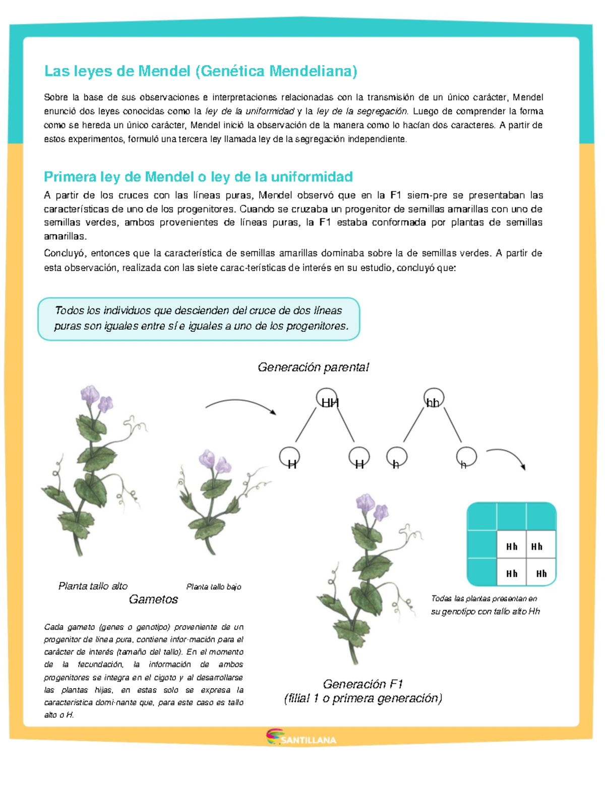 Información y ejercicios de genética Mendeliana - Las leyes de Mendel ...