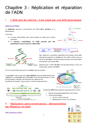 Transcription et maturation des ARN - Généralités de la transcription ...