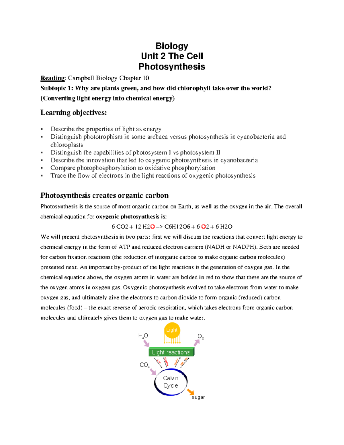 AP Biology Unit 2 - notes - Biology Unit 2 The Cell Photosynthesis ...