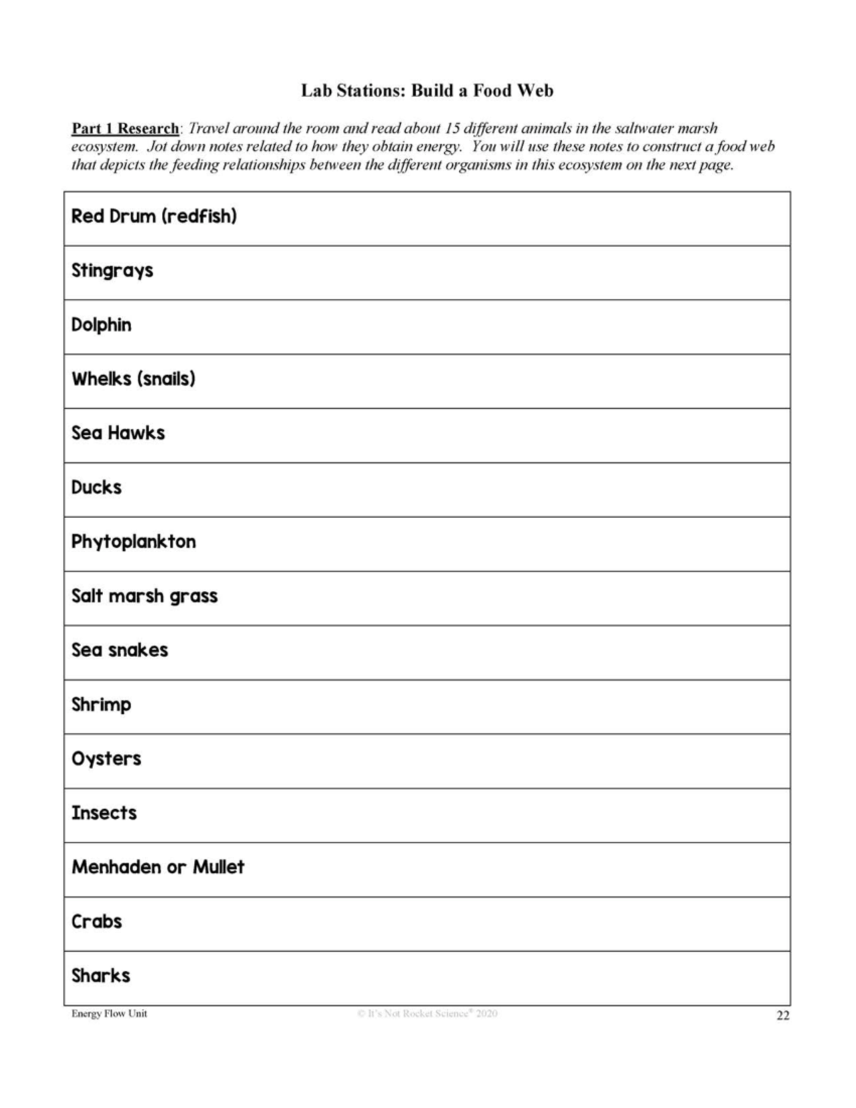 Energy Flow Through Ecosystems Lab Stations Worksheet - Studocu