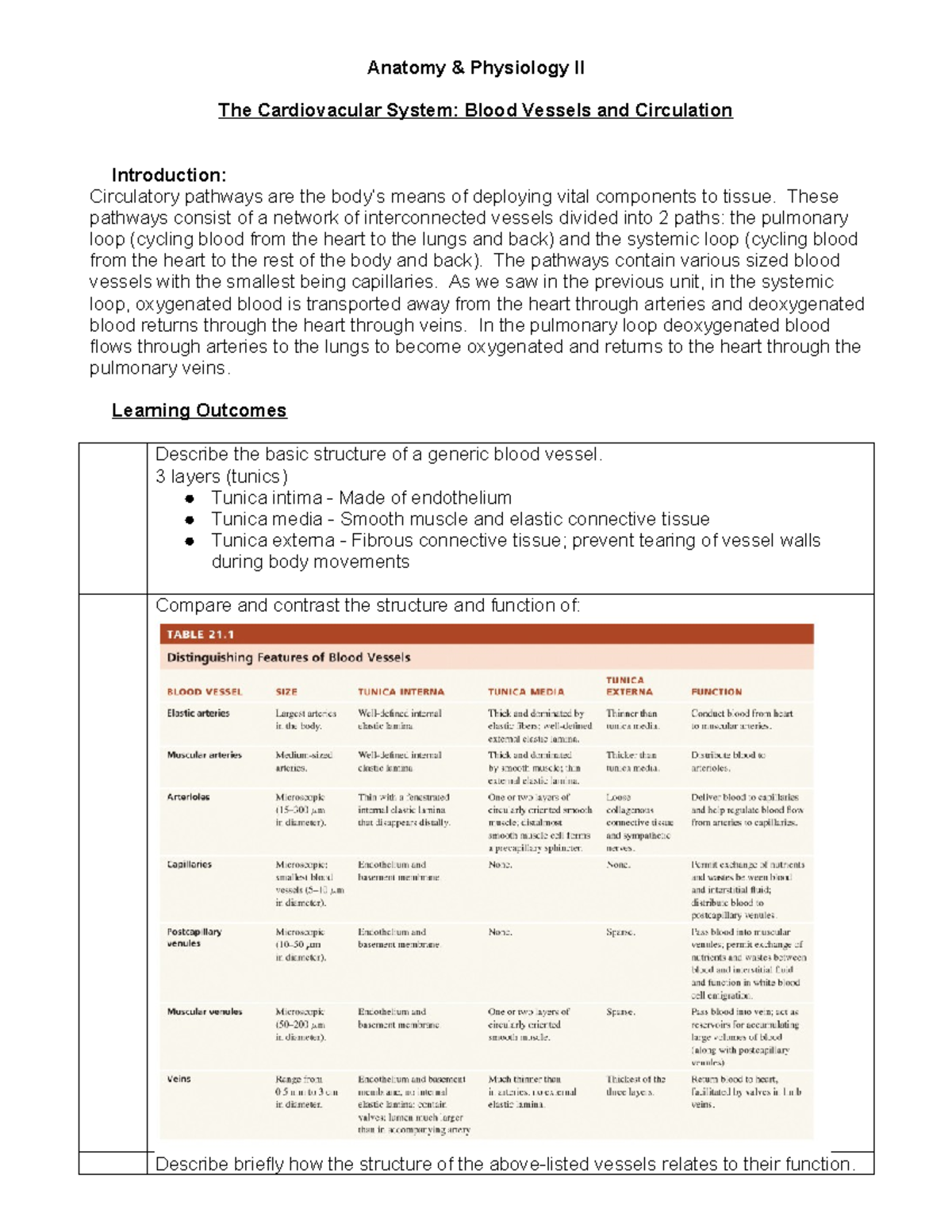Overview- Blood Vessels - Anatomy & Physiology II The Cardiovacular ...