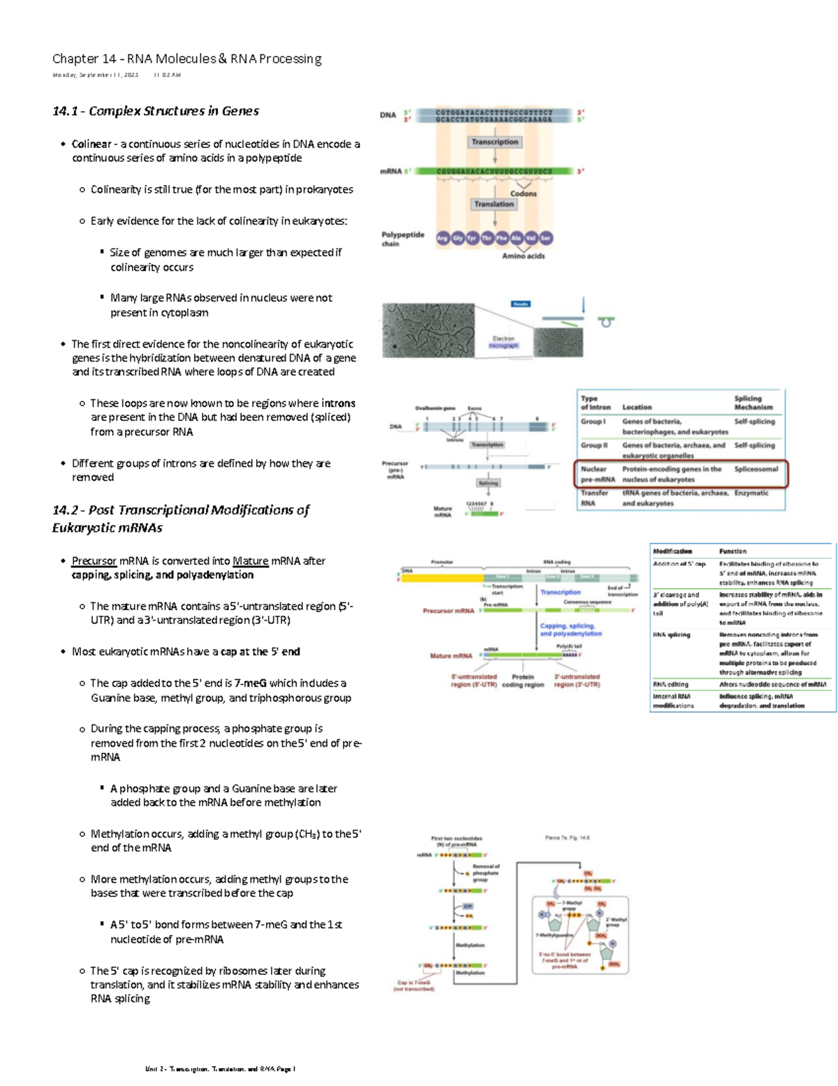 Chapter 14 - RNA Molecules & RNA Processing - 14 - Complex Structures ...
