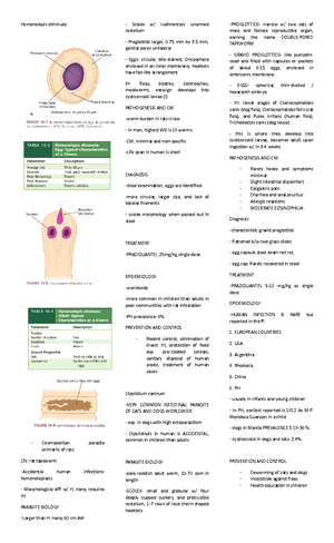 Trematodes Appearnce - TREMATODES OVA FASCIOLOPSIS BUSKI/FSACIOLA ...