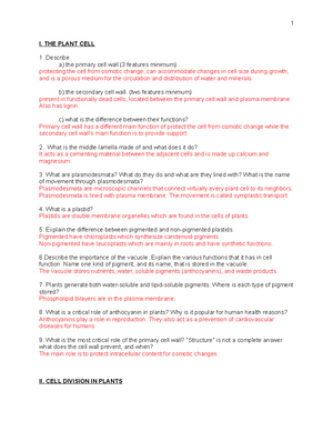 Plant cell division worksheet - Part I. Meristems Fig. 1. Apical ...