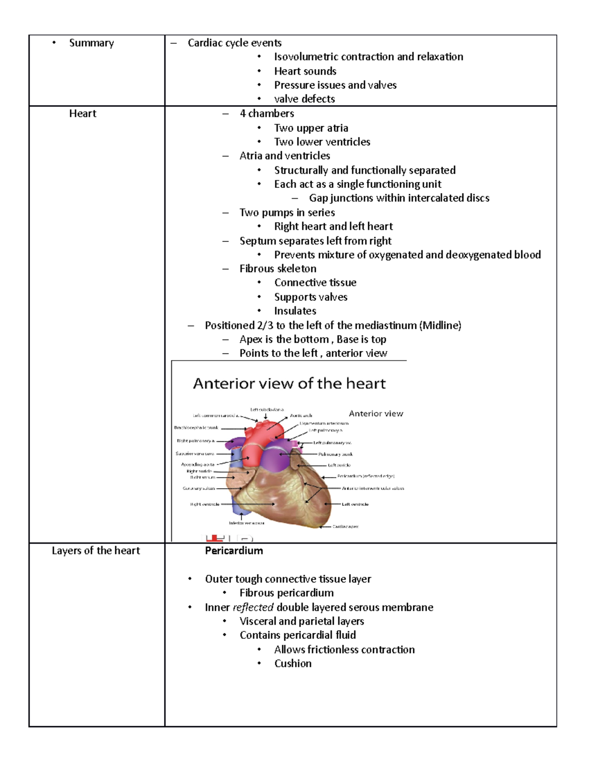 Heart outline - Summary – Cardiac cycle events Isovolumetric ...