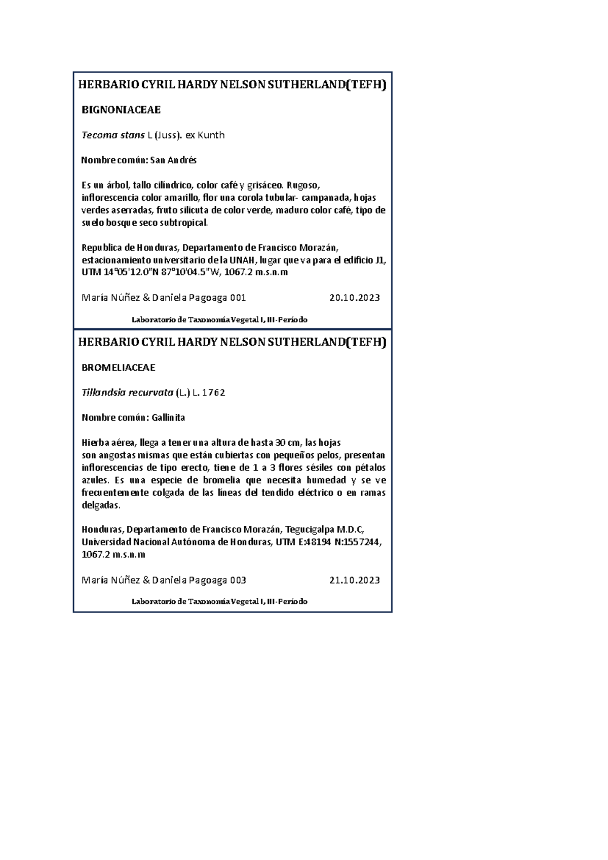 Etiquetas TAXO (corregidas) - HERBARIO CYRIL HARDY NELSON SUTHERLAND ...