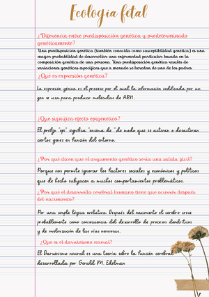 WORD- Depresion Y Ansiedad - UNIVERSIDAD TECNOLOGICA DEL PERU FACULTAD ...