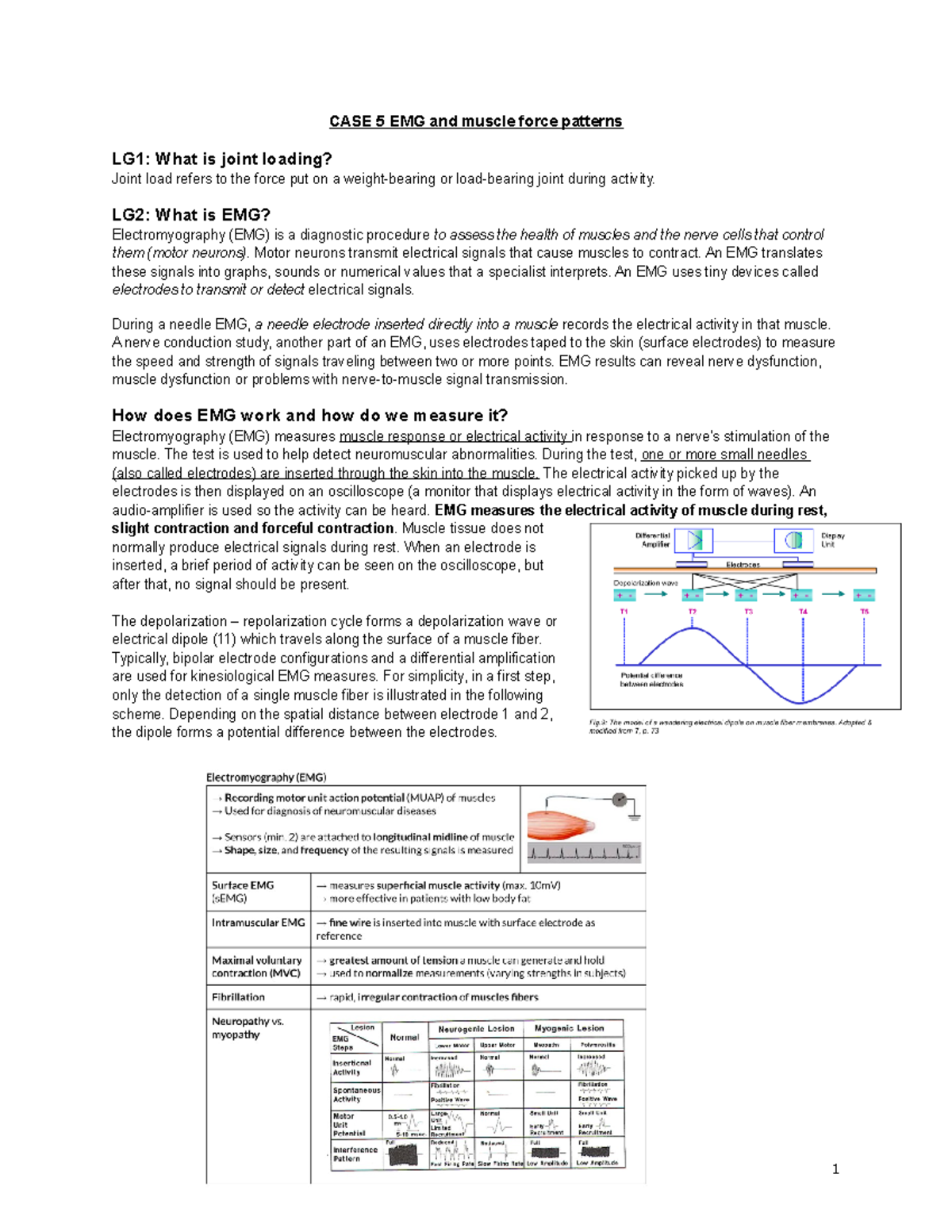 CASE 5 EMG and muscle force patterns - CASE 5 EMG and muscle force ...