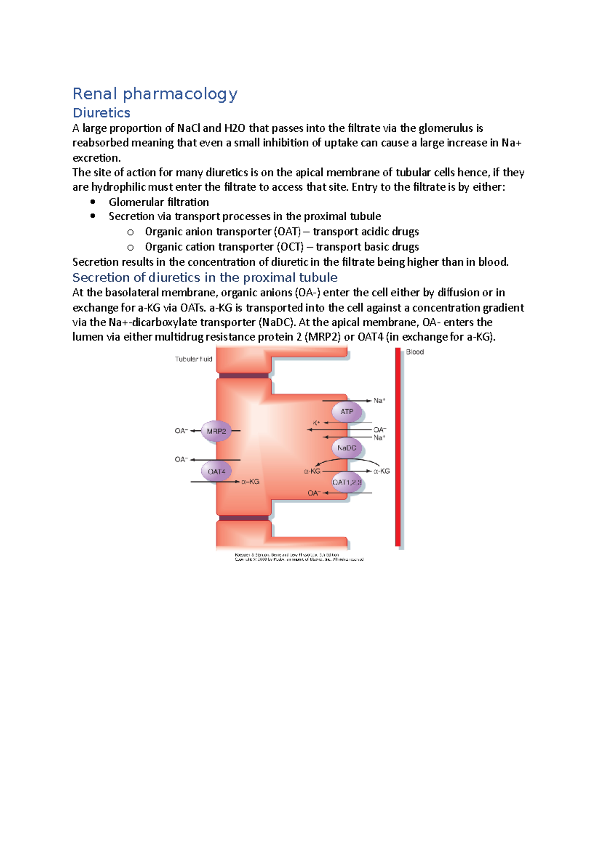 Renal pharmacology - Lecture notes 1 - Renal pharmacology Diuretics A ...